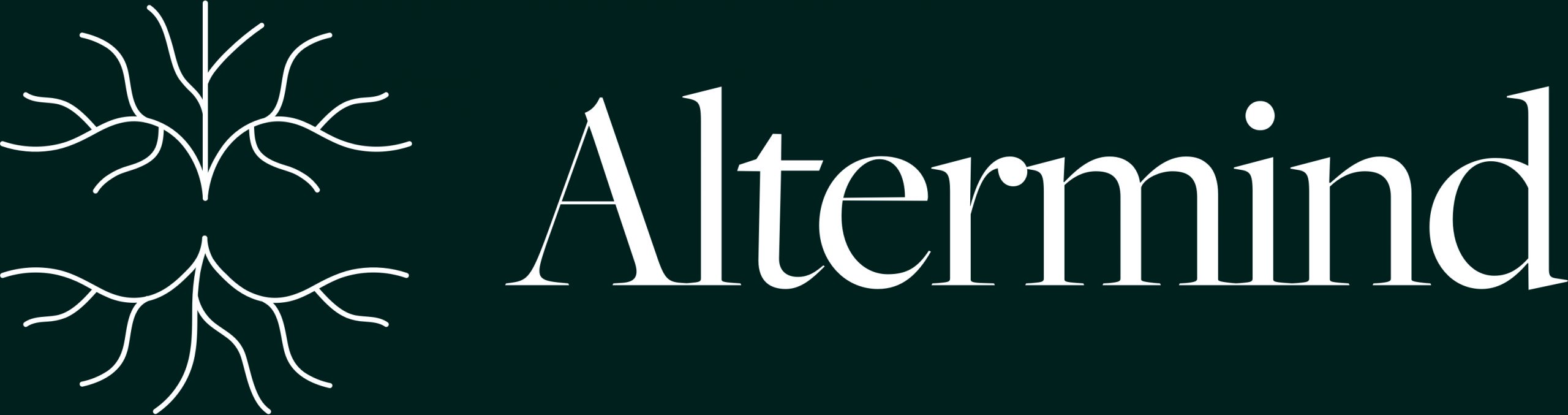 About InfraVision Think Tank: Leading Sustainable Infrastructure Innovation